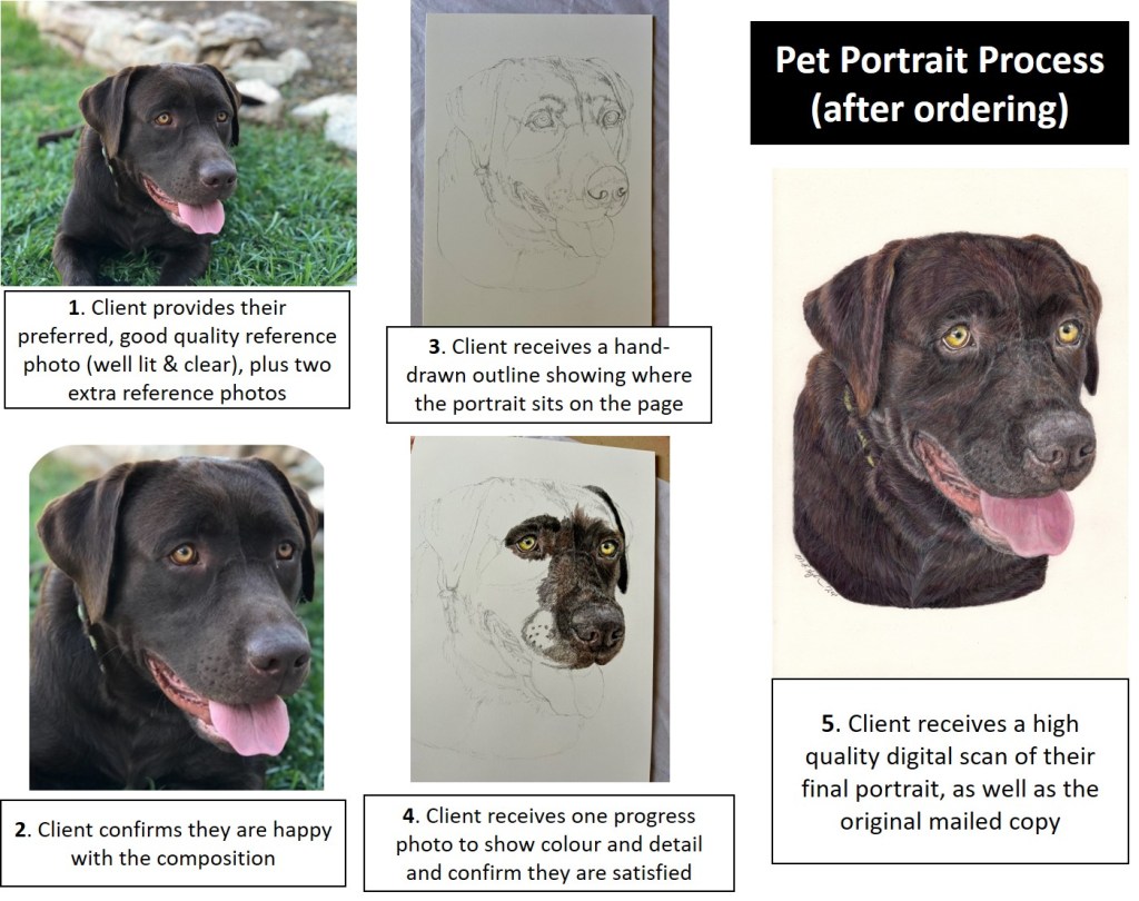 Pet portraits – Mel Hyde